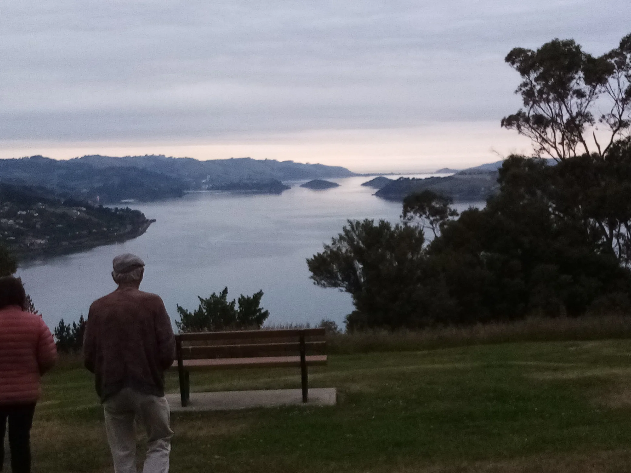 Dunedin Local Lookouts Tour - Wild Scene Tours Dunedin